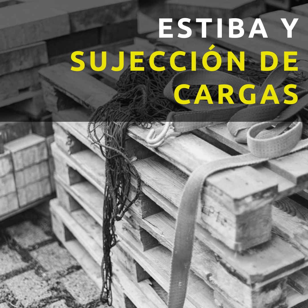 ESTIBA Y SUJECCIÓN DE CARGAS - Forcam